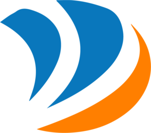 Digital Microsystems – DMS