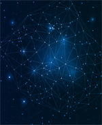 AMI Solution - Digital Microsystems